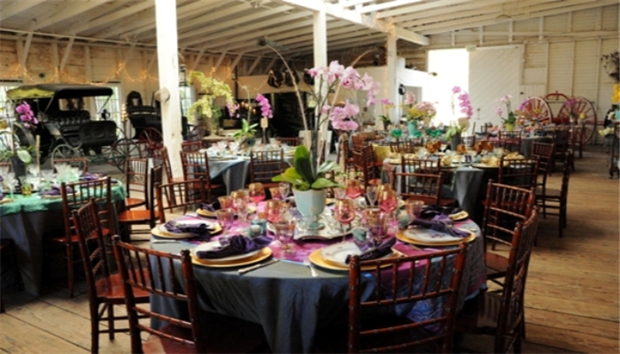 Event Gallery | Party Unlimited